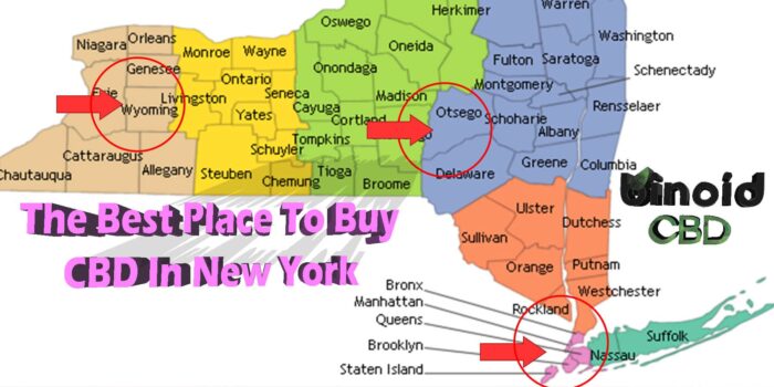 Best Place To Buy CBD Oil In New York
