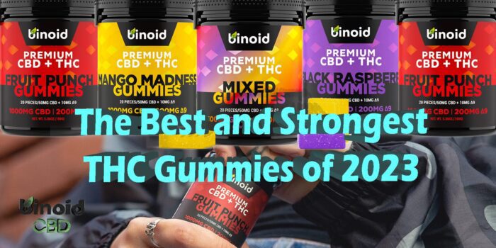 The Best and Strongest THC Gummies of 2023