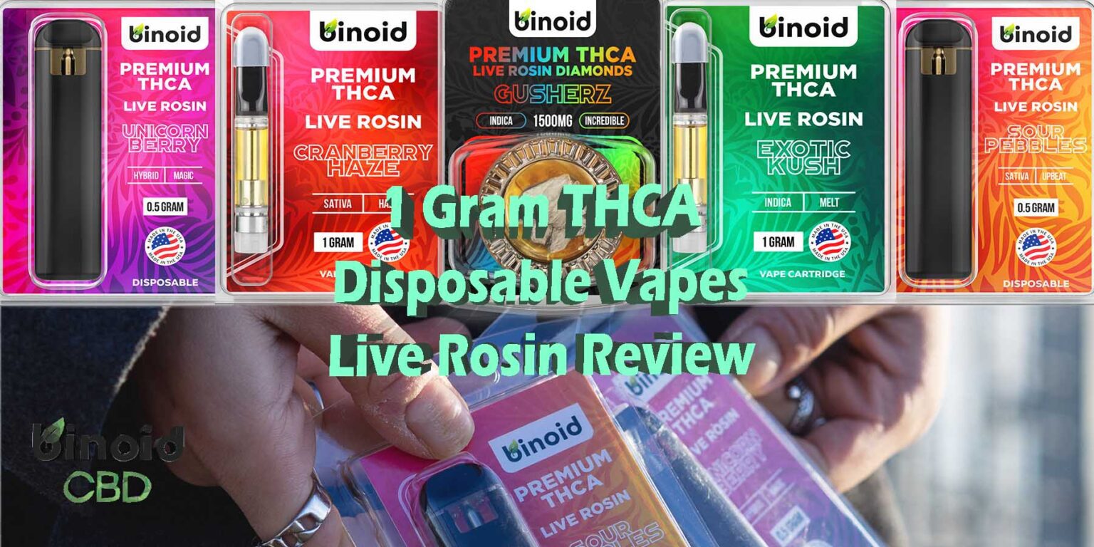 1 Gram THCA Pure Disposable Vapes Review | Live Rosin