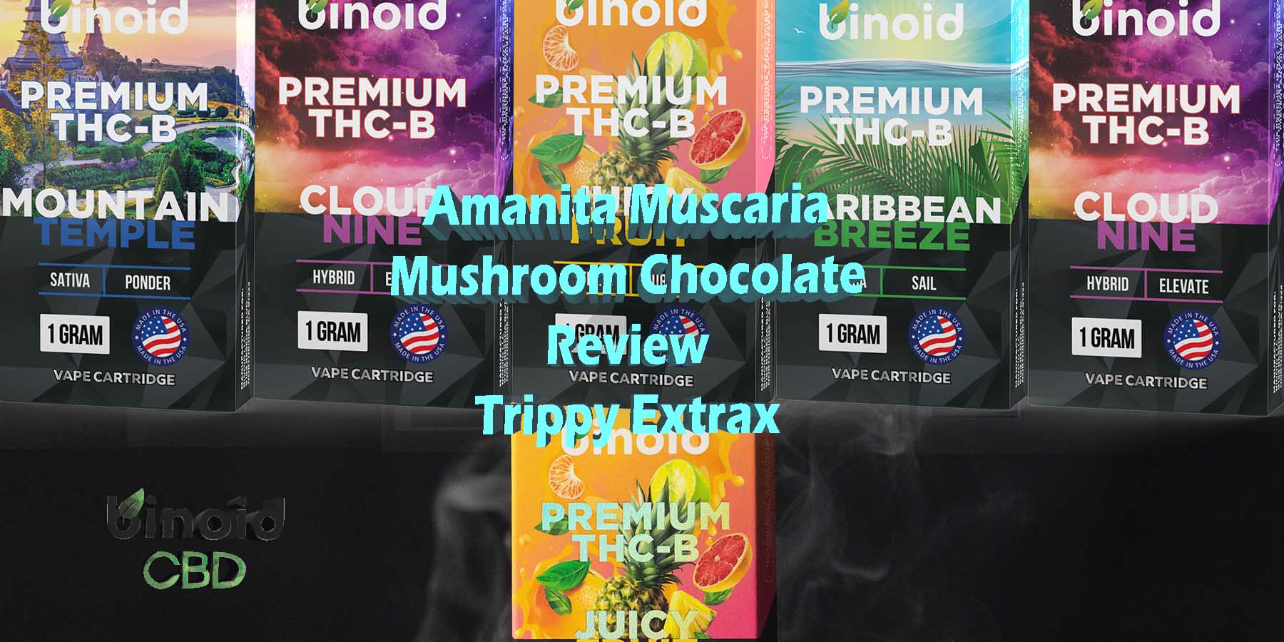 Amanita Muscaria Mushroom Chocolate Review – Trippy Extrax