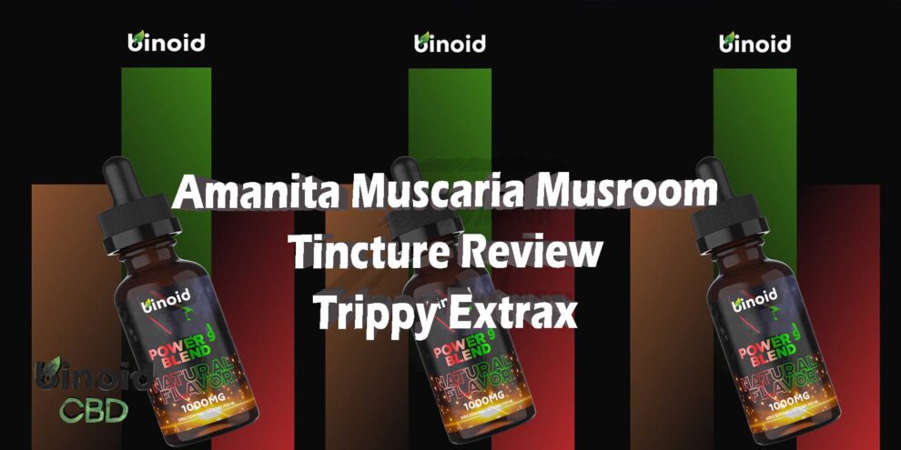 Amanita Muscaria Mushroom Tincture Review – Trippy Extrax