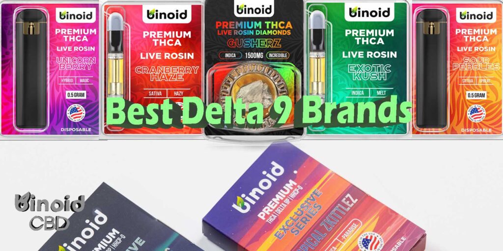 Best Delta 9 Gummies: Top Delta 9 Brands To Buy From Online