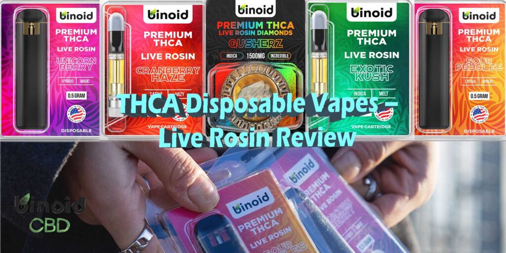 THCA Disposable Vapes Review | Best THCA Disposables