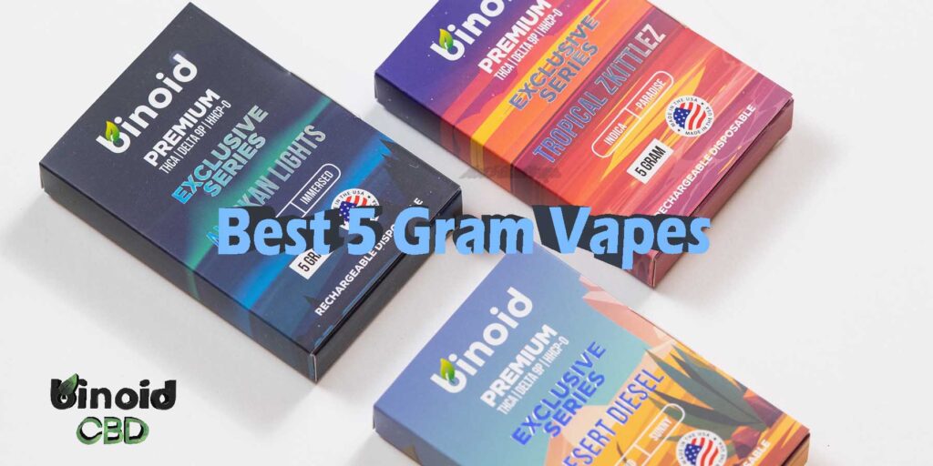 Best 5 Gram Disposables and Vape Cartridges