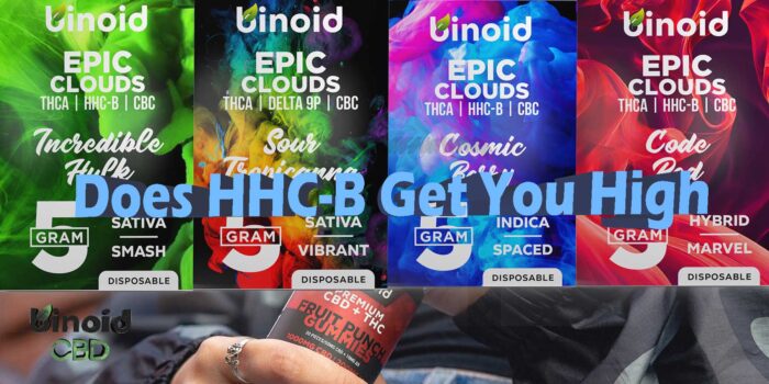 Does HHC-B Get You High? What HHCB Feels Like