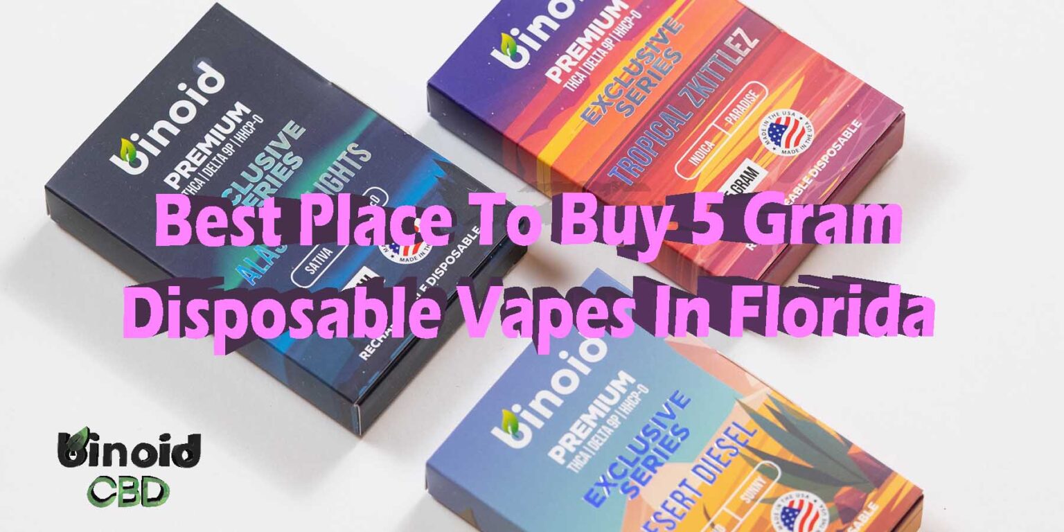 Buy 5 Gram Disposable Vapes In Florida