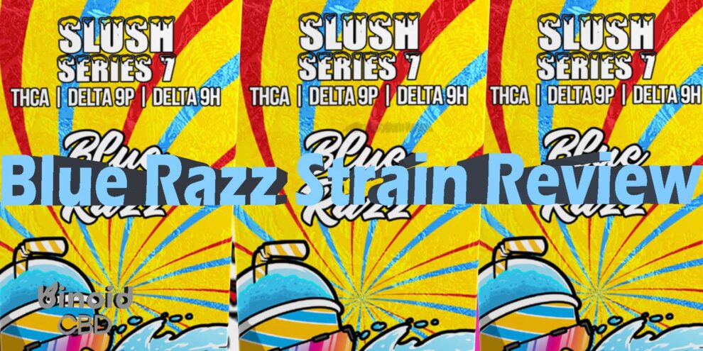 Blue Razz Slush Strain Review and Information