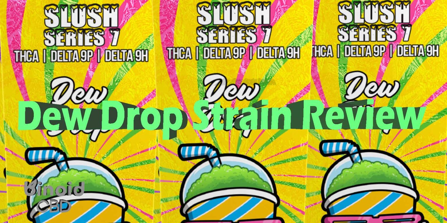 Dew Drop Slush Cannabis Strain Review and Information