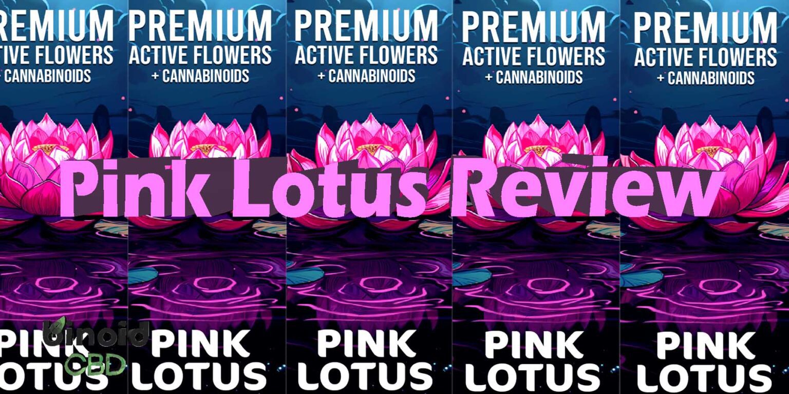 Pink Lotus Disposable Vape Review - Active Flowers