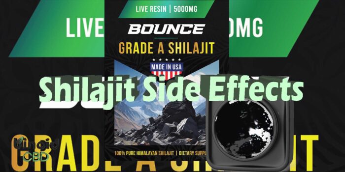 Severe Shilajit Side Effects You Must Know