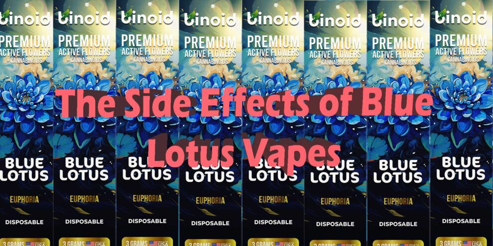 5 Severe Blue Lotus Side Effects You Must Know