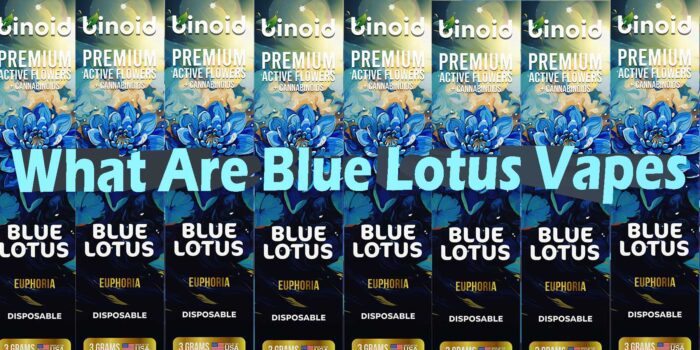 What Are Blue Lotus Vapes?