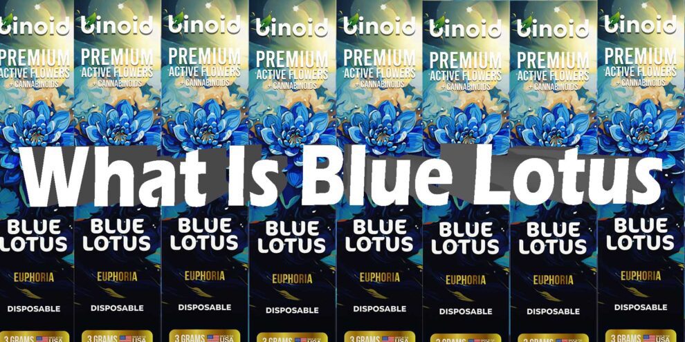 What Is Blue Lotus Flower: What You Must Know