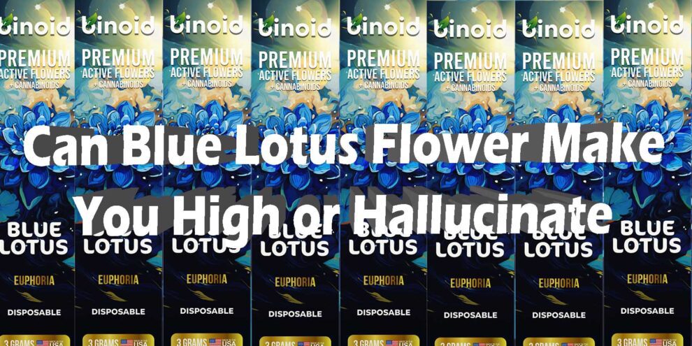 Does Blue Lotus Flower Make You Hallucinate or High?