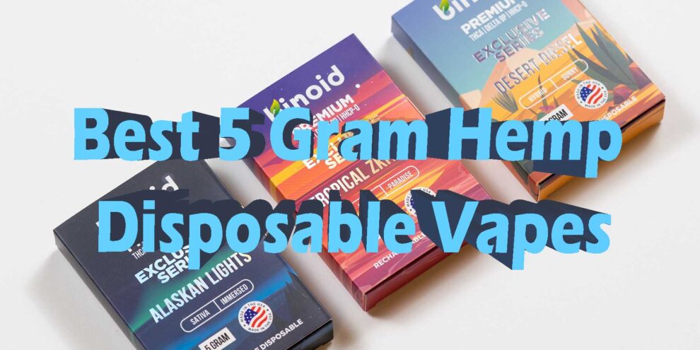 Best 5 Gram Disposable Vapes of 2025: Top THC Brands Ranked