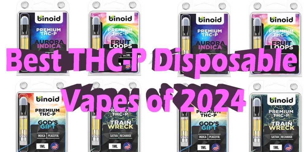Best THC-P Disposable Vapes of 2025: Top Brands Ranked