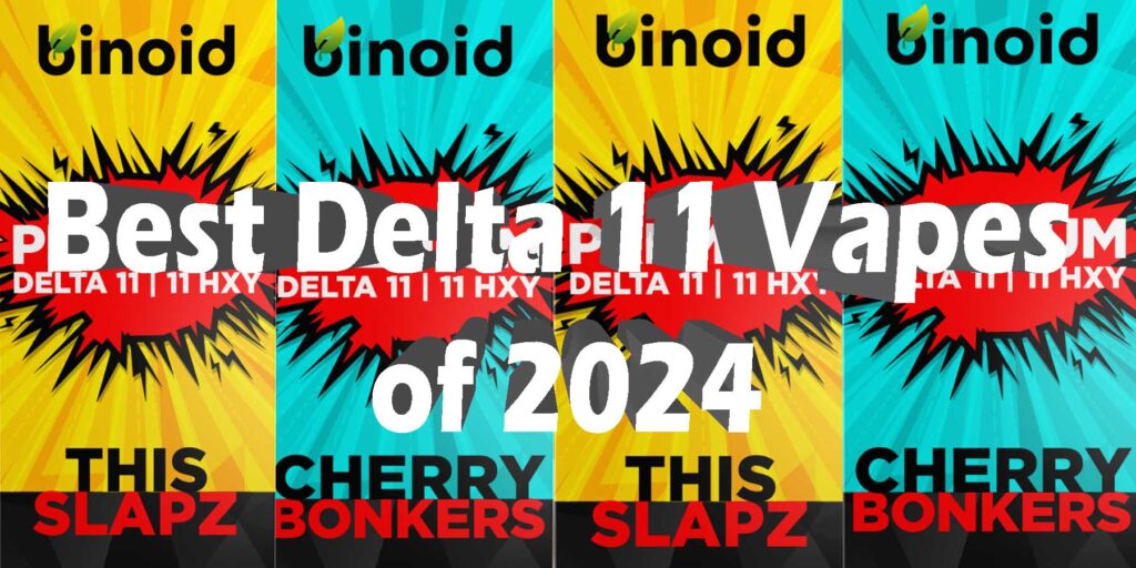 Best Delta 11 Vapes of 2025: Delta 11 THC Disposable Ranking
