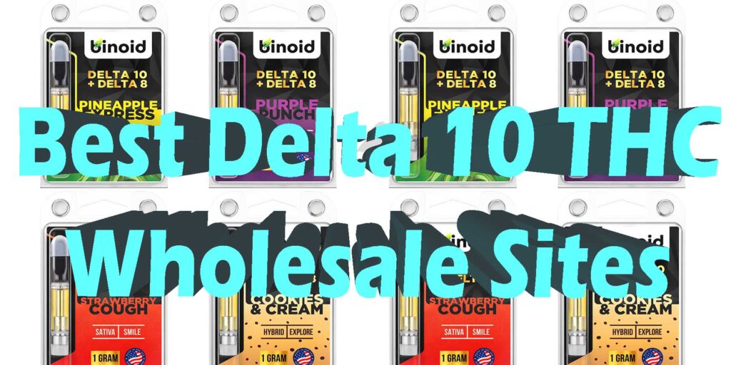 Best Delta 10 Wholesale | Delta 10 Vapes Wholesale In 2025