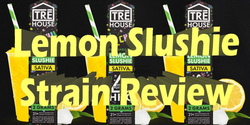 Lemon Slushie Strain Review and Information