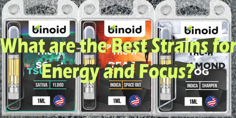 5 Best Cannabis Strains for Energy and Focus in 2026
