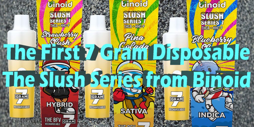 Best 7 Gram Disposable: The Slush Series from Binoid