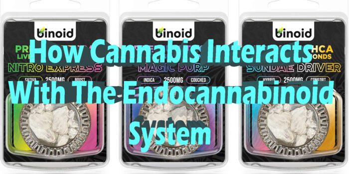 How Cannabis Works With The Endocannabinoid System
