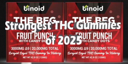 Strongest THC Gummies of 2025: Tested And Reviewed