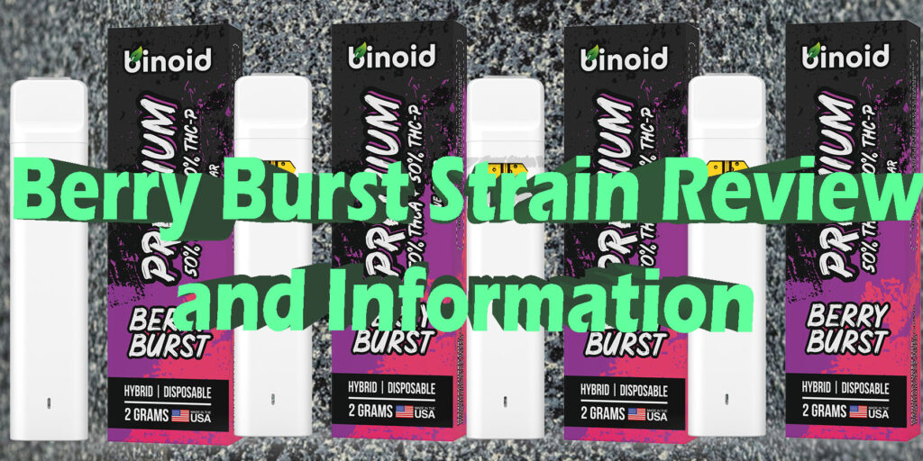 Berry Burst Strain Review and Information