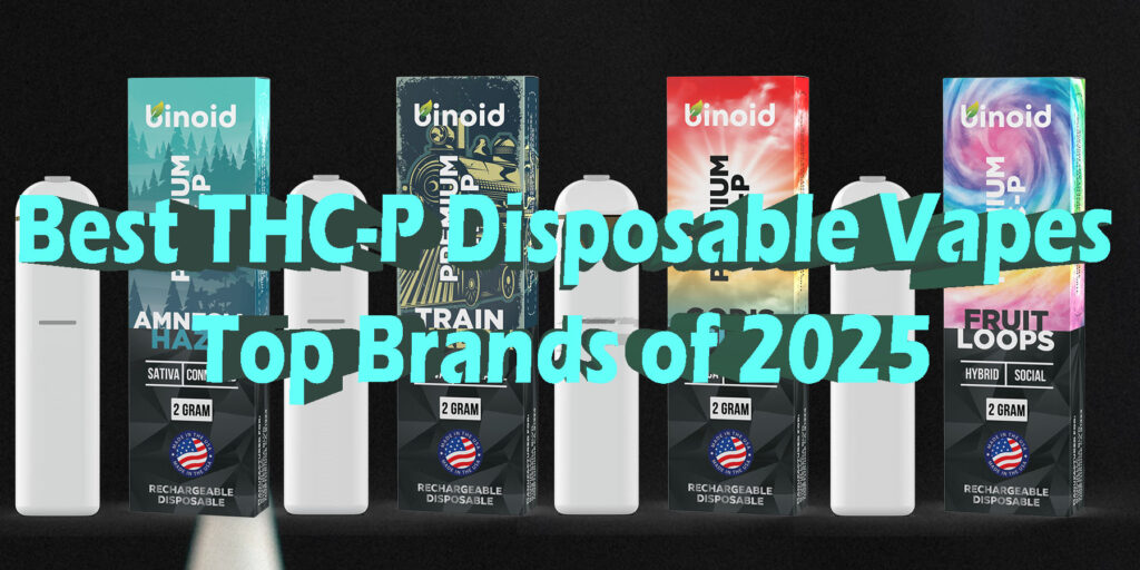 Best THC-P Disposable Vapes: Top Brands of 2025