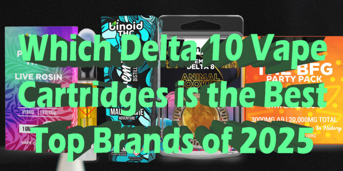 Best Delta 10 Vape Carts: Top Brands Tested and Reviewed