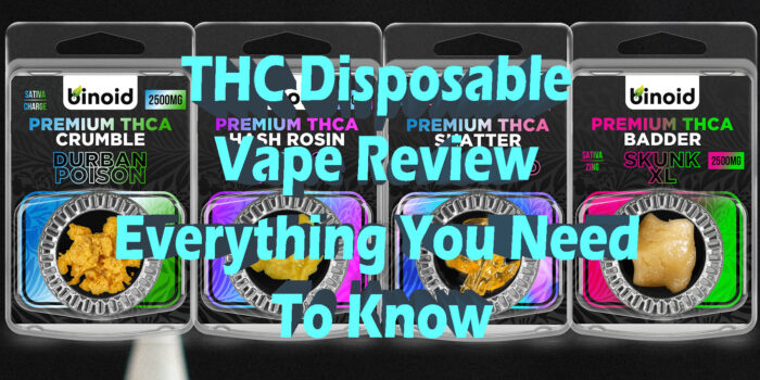 THC Disposable Vapes and Weed Pens: Tested and Reviewed