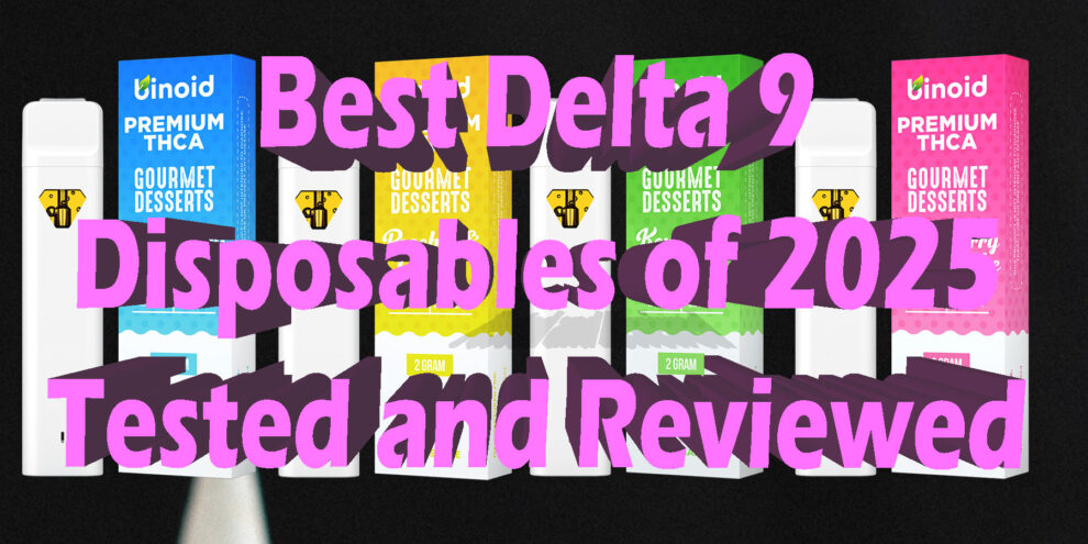 Best Delta 9 Disposables 2026 - Binoid CBD