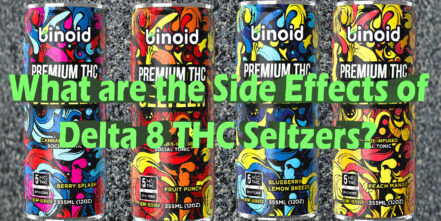 11 Severe Delta 8 THC Seltzers Side Effects You Should Know